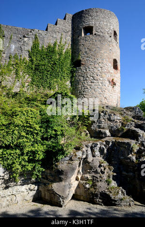 Pappenheim, castle Pappenheim Stock Photo - Alamy
