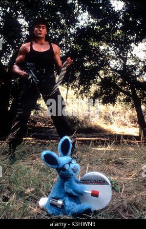 HOT SHOTS! PART DEUX aka HOT SHOTS 2 : THE EXPLOITATION CHARLIE SHEEN ...