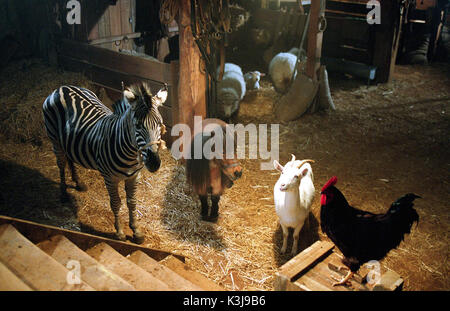 Tucker The Pony Film: Racing Stripes (2005) Director: Frederik Du Chau ...