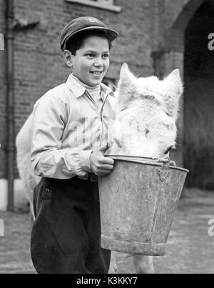 JEREMY SPENSER British actor Stock Photo - Alamy