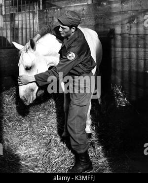 REFLECTIONS IN A GOLDEN EYE [US 1967] ROBERT FORSTER Date: 1967 Stock ...