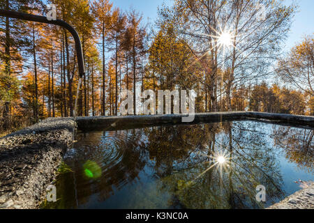 Autumnal trees reflecting on the waters of a fountain. Italy, Europe ...