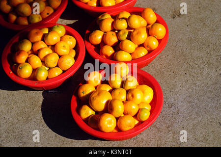 Crates of Jeju mandarin tangerines at a farmers market in South Korea ...