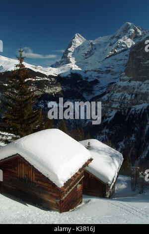 The peaks of the Eiger and the Monch from the huts by Murren, Bernese ...