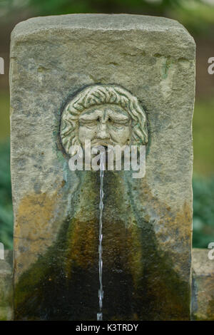 Small fountain with the image of the suffering face vomiting nauseated ...