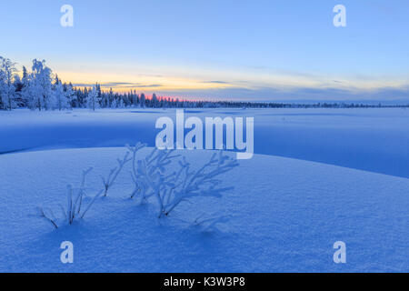 Sunset above the taiga at the border between Sweden and Finland ...