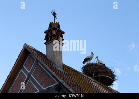 Strasbourg, Alsace, France, Storks nest Stock Photo - Alamy