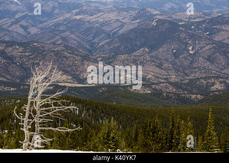 Chief Mountain, near Evergreen, Colorado Stock Photo: 163465381 - Alamy