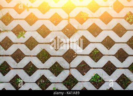 concrete exterior pavement grid . Eco-friendly parking of concrete ...