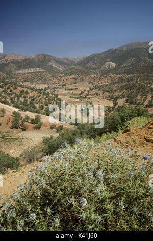 Rural countryside near Ardakan, Fars Province, Iran Stock Photo - Alamy