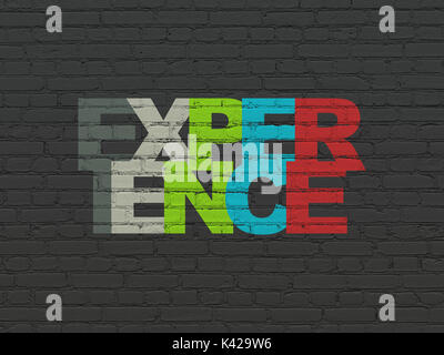 Finance concept: Experience on wall background Stock Photo - Alamy