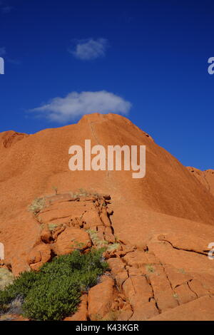 Ayers Rock Uluru Australia during spring season with flowers and green ...
