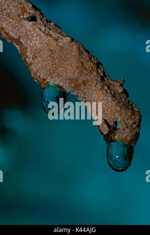 Water drops on a limestone concrection in a cave Stock Photo - Alamy