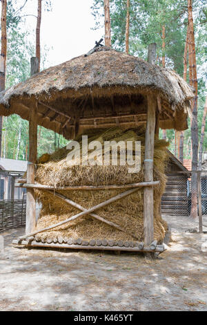 A traditional thatched-roof hut with stick walls for air circulation ...