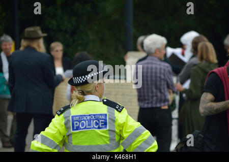 Metropolitan Police on duty in London Stock Photo - Alamy