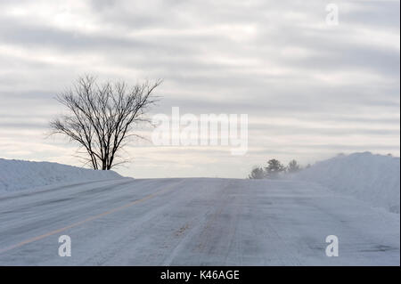 A rural road with plowed snow piles on the roadsides, and leafless ...