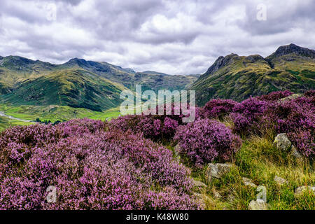 The Wainwright Mountains Pike o Stickle and Loft Crag from the Langdale ...