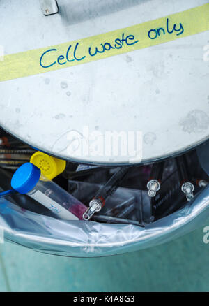 test tubes in bright modern labaratory Stock Photo - Alamy