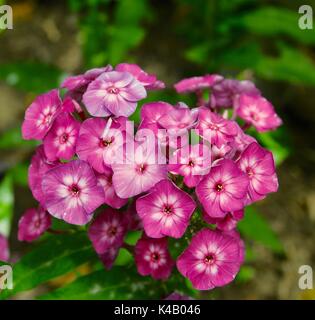 Some of the parks in Hamilton County Ohio Stock Photo - Alamy