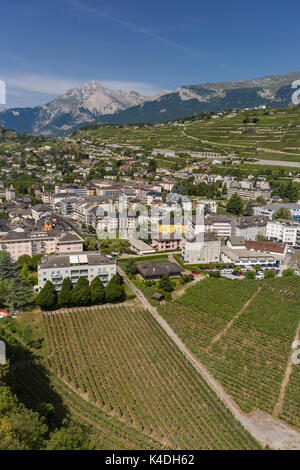 Vineyard in Canton Valais, Switzerland, with the view of the city of ...