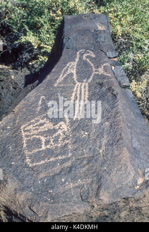 Native American rock engravings, petroglyphs, about 1000 years old ...