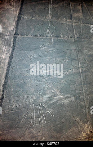 The Heron / Flamingo / Alcatraz, Nazca Lines, (ancient geoglyphs and ...
