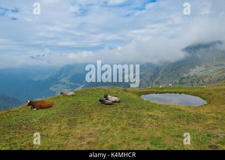 Landscape with farm at a puddle. Landscape with farm at a puddle. There ...