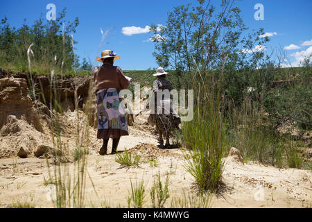 Women planting trees in a donga, a dry gully formed by running water ...