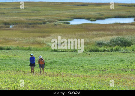 Hiking at Fort Hill in Eastham - Massachusetts in the Cape Cod National ...