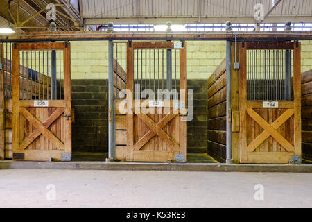 Horse barn and open stalls at Minnesota State Fair - the largest state ...