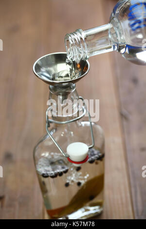 infusion gin, homemade gin, DIY gin, craft gin, gin and tonic Stock ...