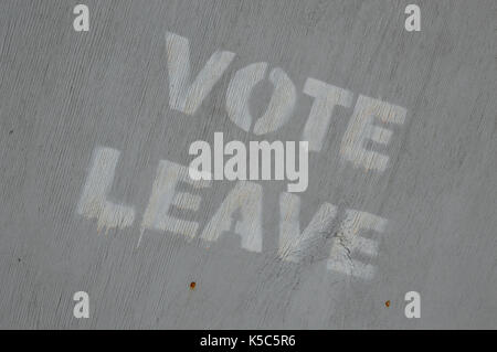 Vote Leave stencil graffiti, UK referendum on leaving the European ...