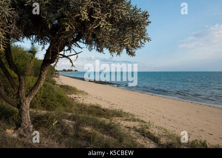 Madagascar. Ifaty. Landscape Stock Photo - Alamy
