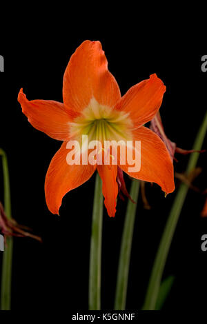 Asuncion, Paraguay. 9th Sep, 2017. Warm sunny day in Asuncion with ...