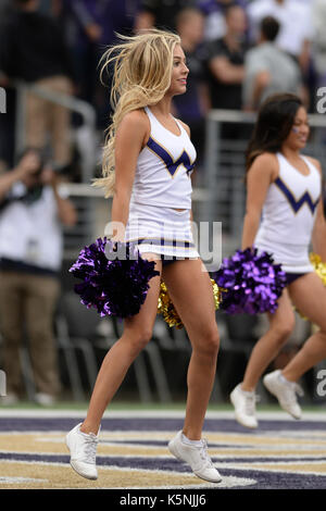 Seattle, WA, USA. 9th Sep, 2017. The UW dance and cheer squad perform ...
