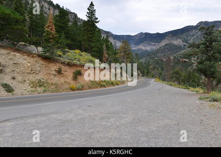A mountain road at Mount Charleston Stock Photo - Alamy