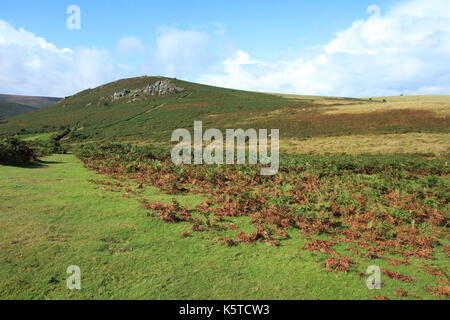 Bell Tor at autumn, Dartmoor, Devon, England, UK Stock Photo - Alamy
