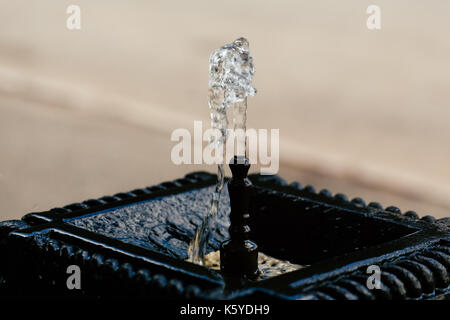 Armenian pulpulak in the summer Stock Photo - Alamy