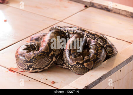 Snake meat at market in Indonesia, extreme market, Sulawesi Stock Photo ...