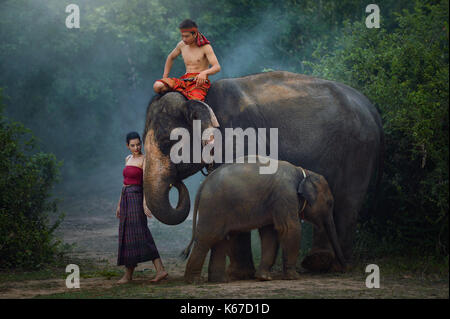 Elephant calf woman forest animal trunk hat tree nature sanctuary ...