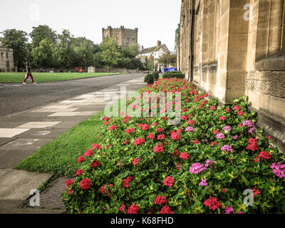 The Pemberton Building Palace Green Durham UK Stock Photo - Alamy