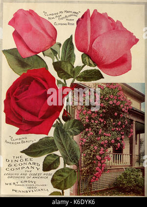This catalog from Dingee and Conard Co. offers a selection of new and ...