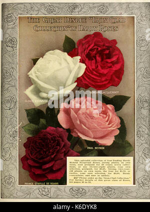*Dingee Guide to Rose Culture* is a horticultural reference book from ...