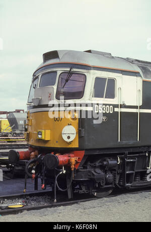 Type 2 locomotive repainted in BR Green livery Stock Photo - Alamy