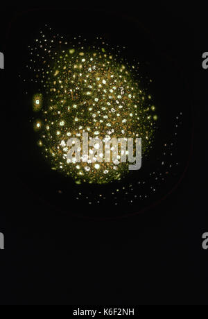 Abstract patterns created by burning celluloid film Stock Photo - Alamy