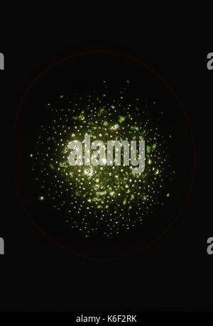 Abstract patterns created by burning celluloid film Stock Photo - Alamy