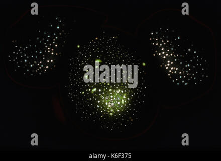 Abstract patterns created by burning celluloid film Stock Photo - Alamy