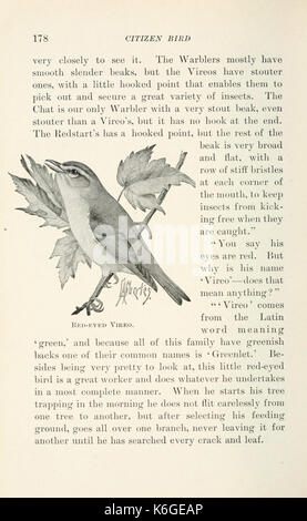 Citizen bird (Page 178 Stock Photo - Alamy