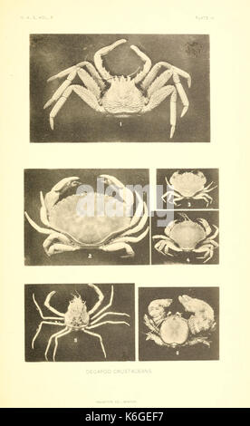 . Decapod crustaceans of the northwest coast of North America ...