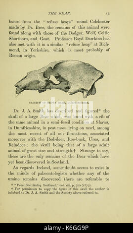 British animals extinct within historic times BHL12328878 Stock Photo ...